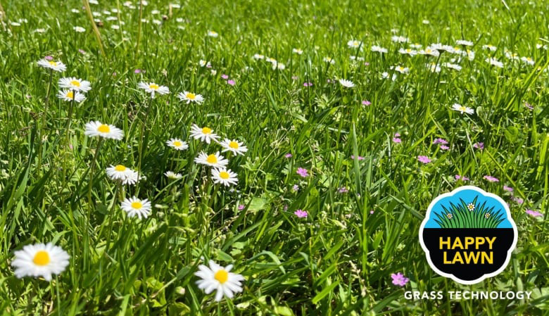 Barenbrug Happy lawn - obloženo seme trave 0,5 kg - Keeptank